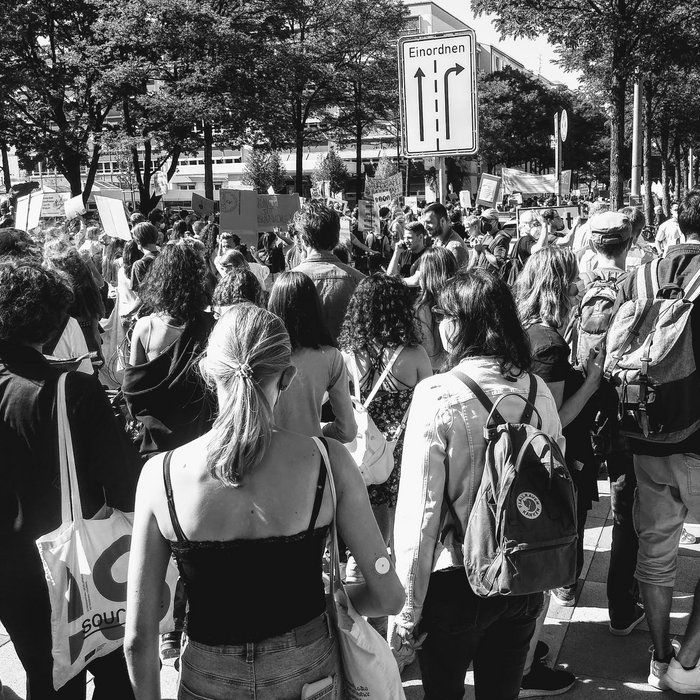 Bits/pieces | Suzi Lamb