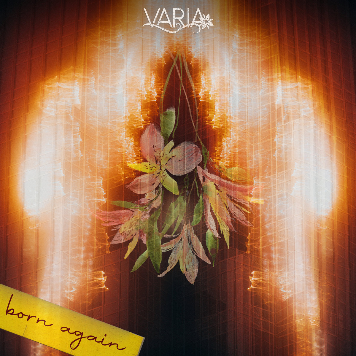 Born Again Album Cover