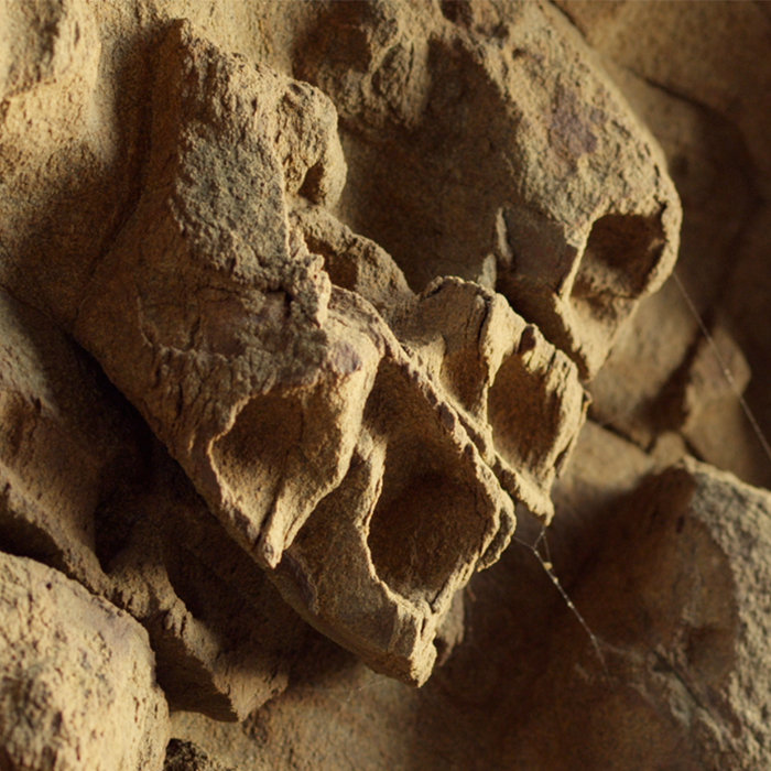 Music for Unnatural History | Jason Post and Alex Backhouse
