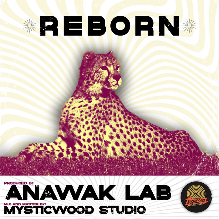 REBORN - VL002 | Anawak Lab Mysticwood Studio Spiritual Sounds ...
