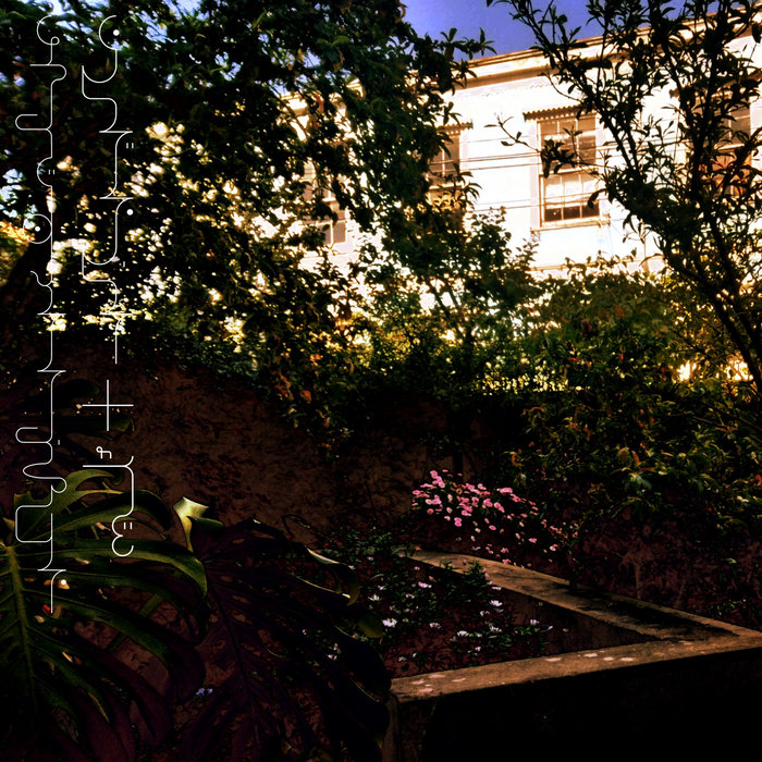 Midnight + 30 | Fragmentation