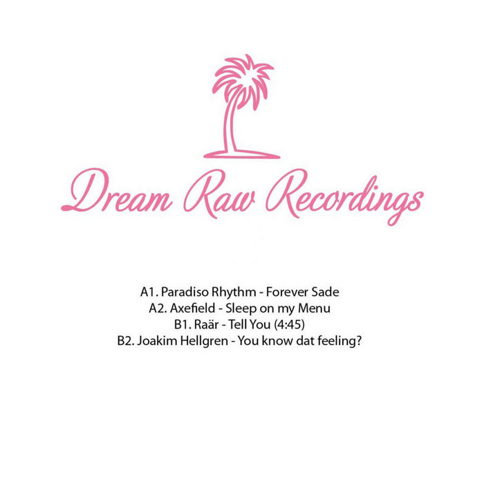 12" V / A DRR006 - Paradiso Rhythm , Axefield , Ra ä r , Joakim Hellgren | Various Artist ...