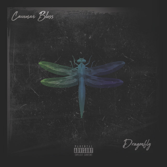 Dragonfly | Caveman Bless