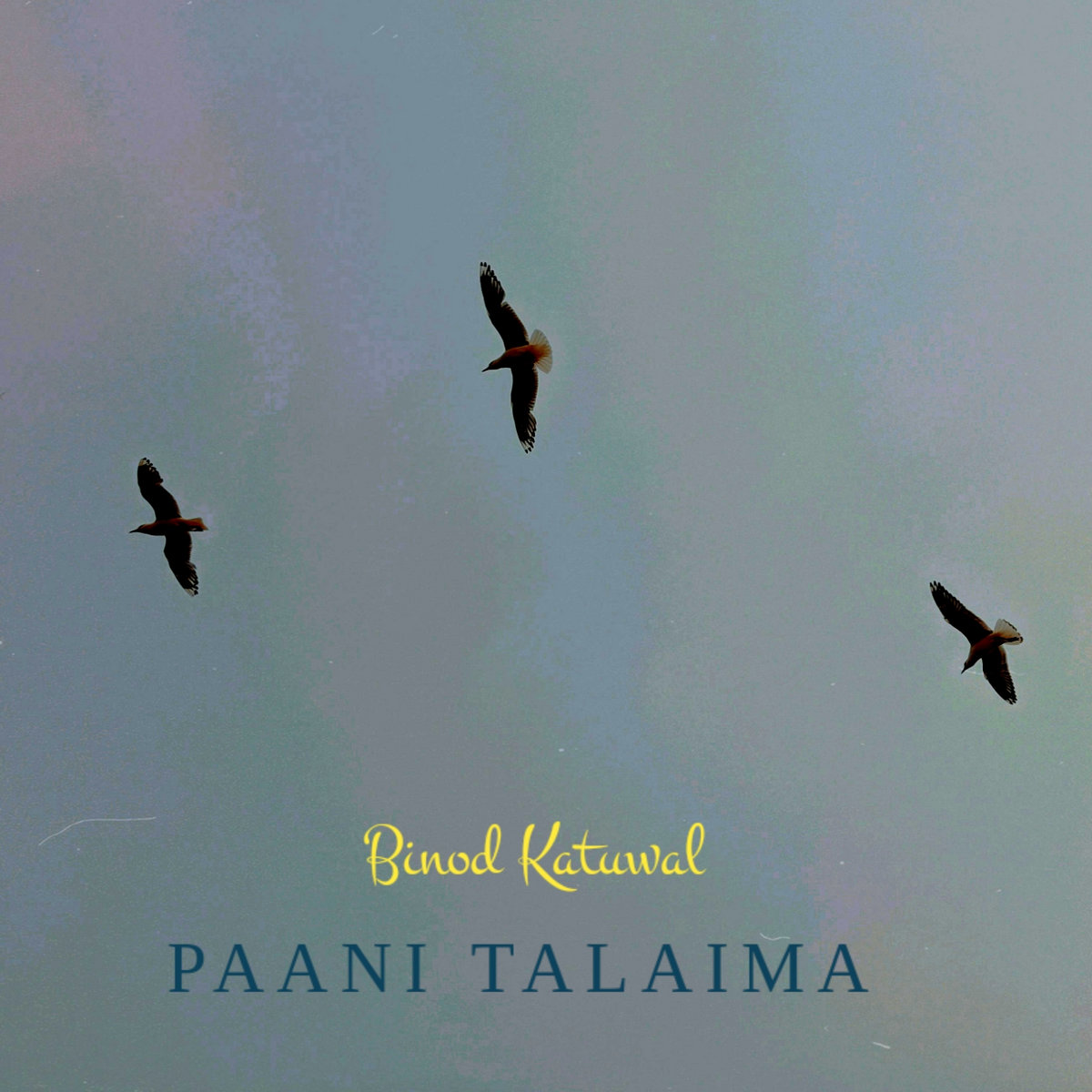 House Nepal Paani Talaima | Binod Katuwal Bansuri Flute Nepal.