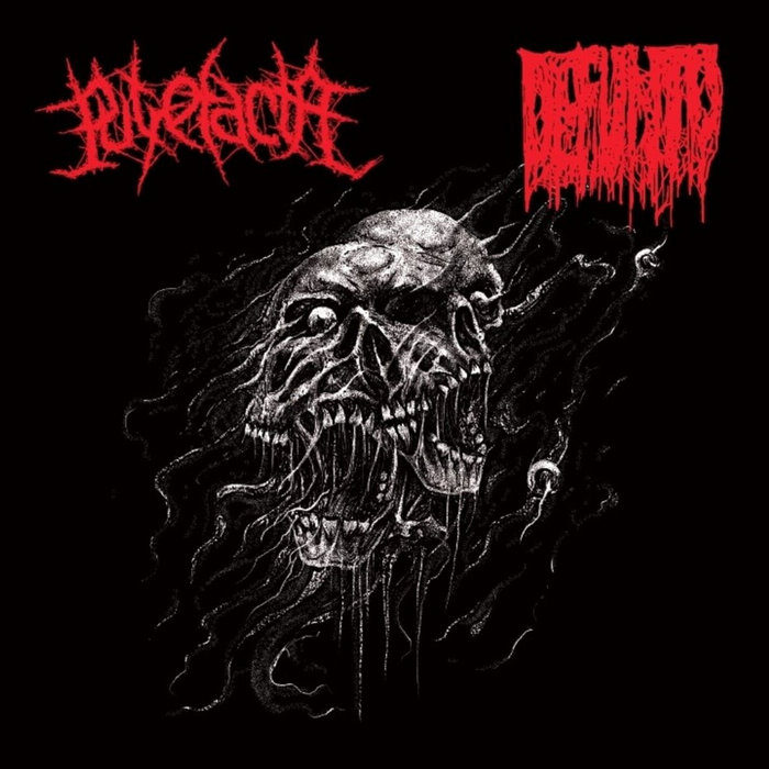 PUTREFACTA / DEFUNTO: A Face Dos Defuntos Putrefactos - Split CD ...