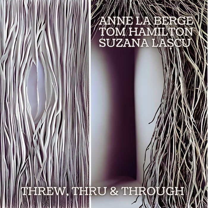 Threw, Thru & Through | Anne La Berge, Tom Hamilton, and Suzana Lașcu | Tom Hamilton