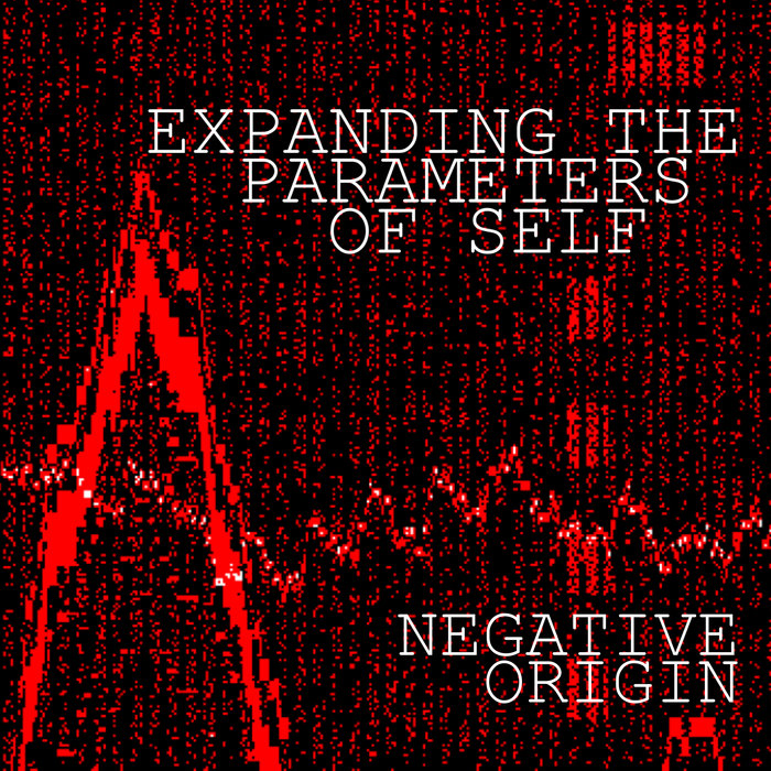 Expanding the Parameters of Self | Negative Origin