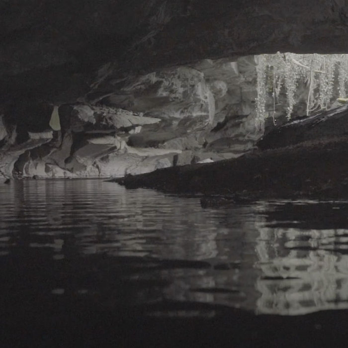 Into the Loam | Cormac Begley & Liam O'Connor | Liam O'Connor