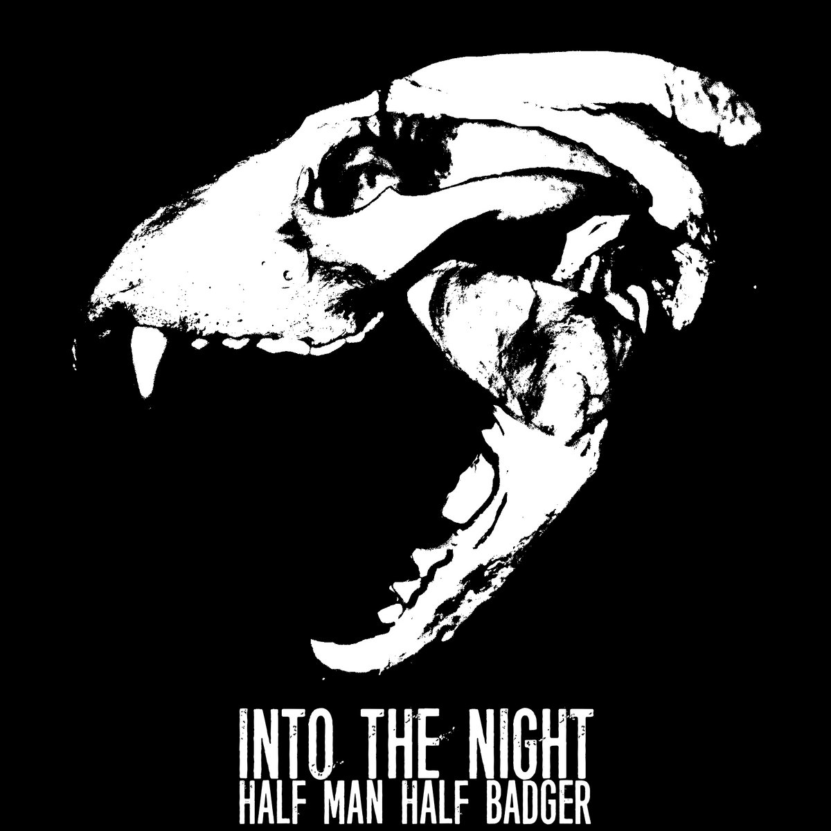 Into The Night | Half Man Half Badger | Blunder