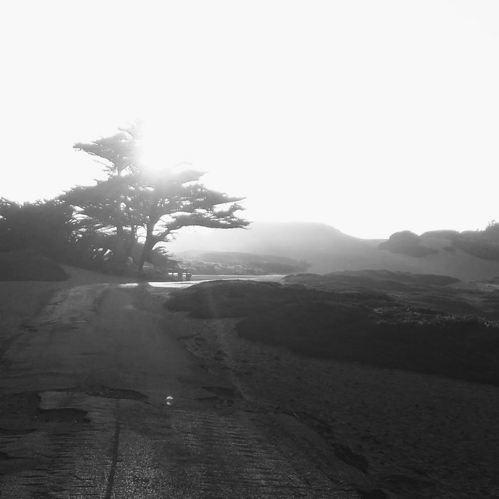 This is Fine | MichelleLuna