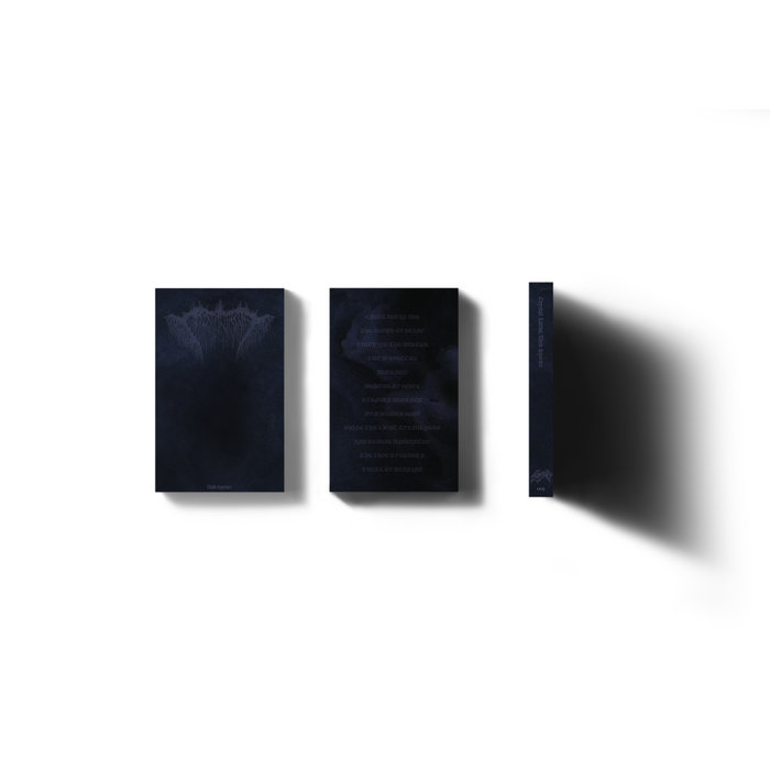 LTT005 - Void Spectre pt.i - Void Spectre | Crystal Larva