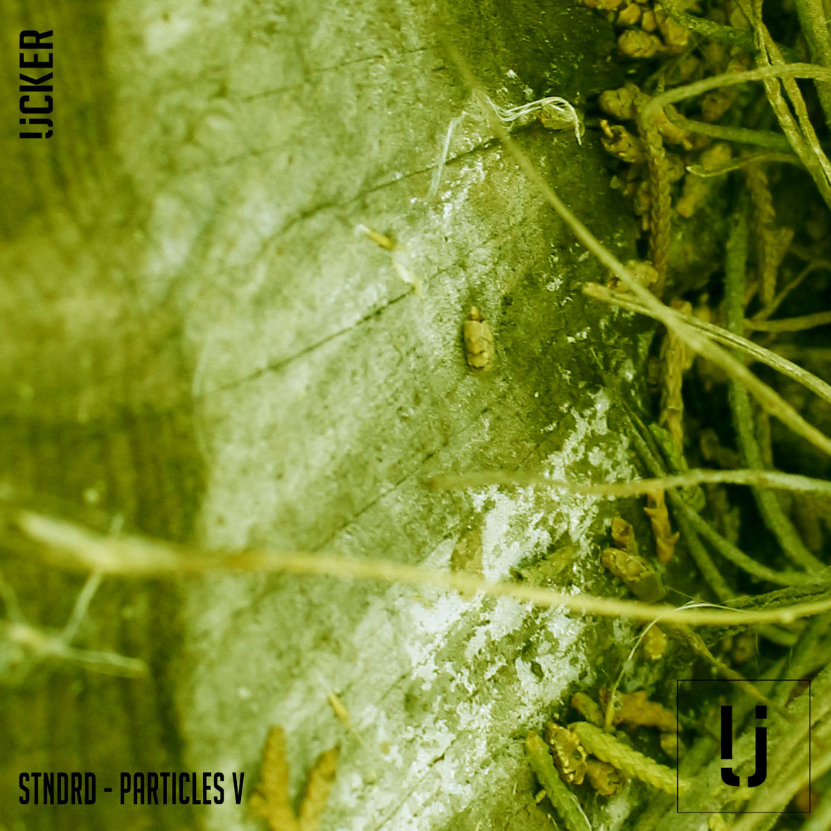 STNDRD - Particles V | STNDRD | Ucker