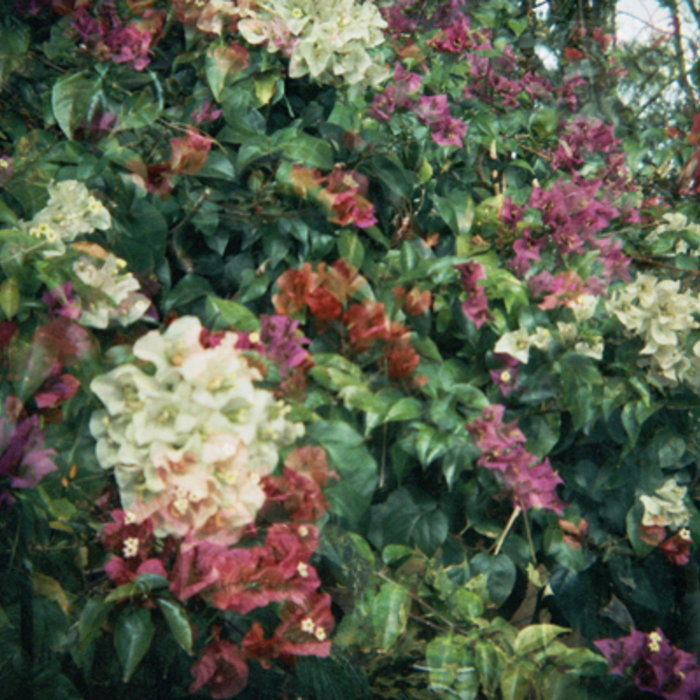 Nostalgia | Still Rain Fell