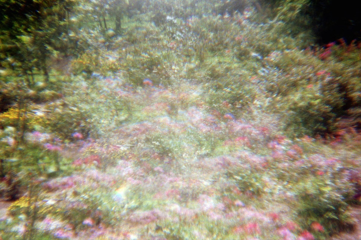 repeat | vincent sullivan