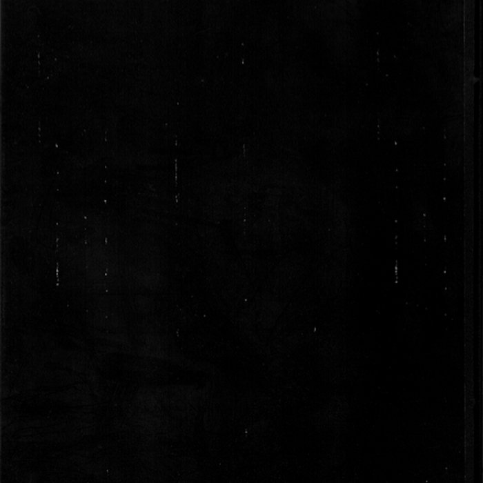 NIGHT ACTIONS | R.Buttrum