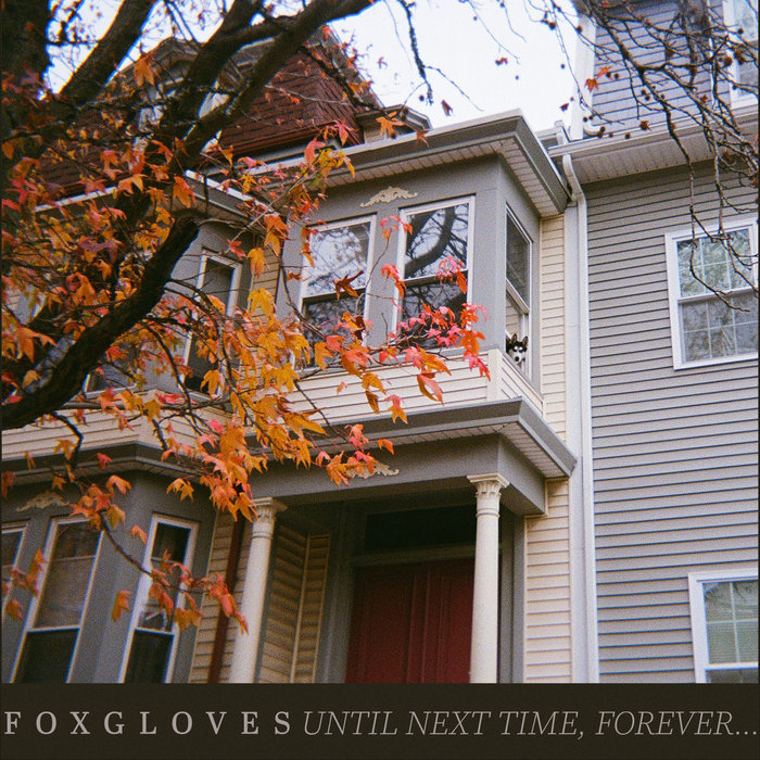 UNTIL NEXT TIME, FOREVER.. | FOXGLOVES