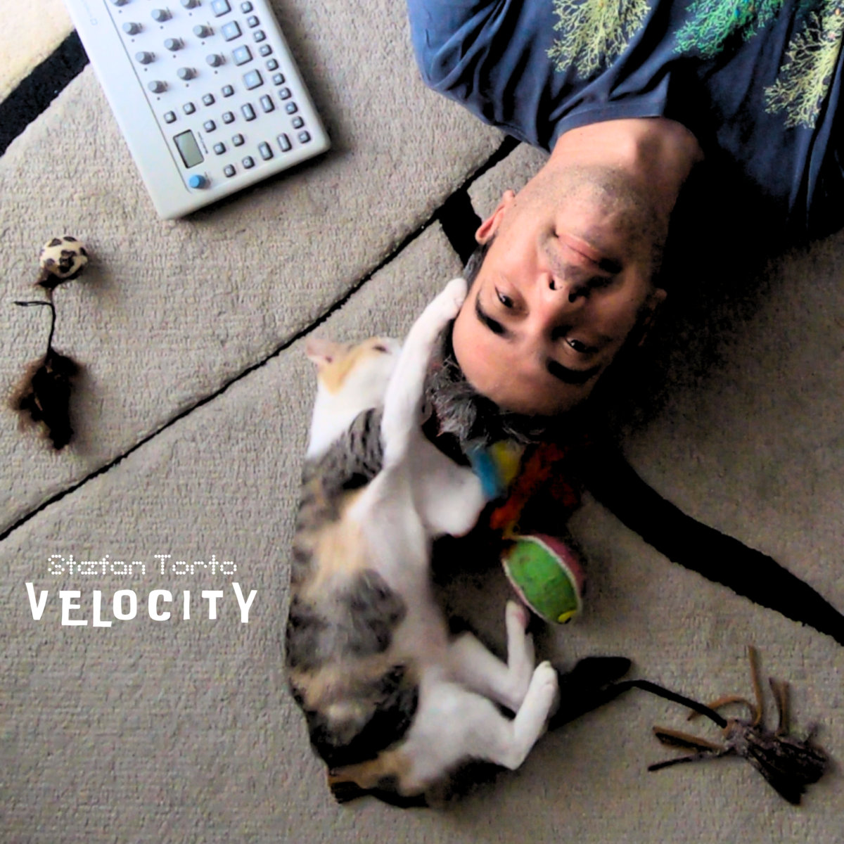 Velocity | Stefan Torto