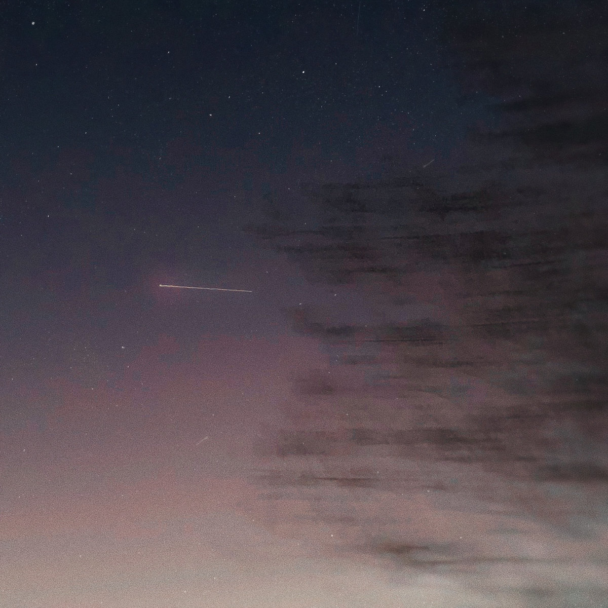 Still the Earth Turns | The Goodnight Project x Łeinahtan | Golden Leaf ...