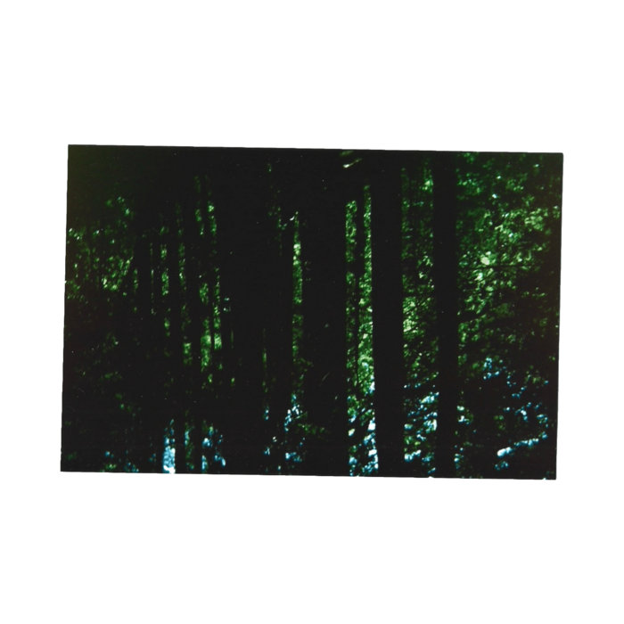 Cocoon / Became the Sun | The Western Tree