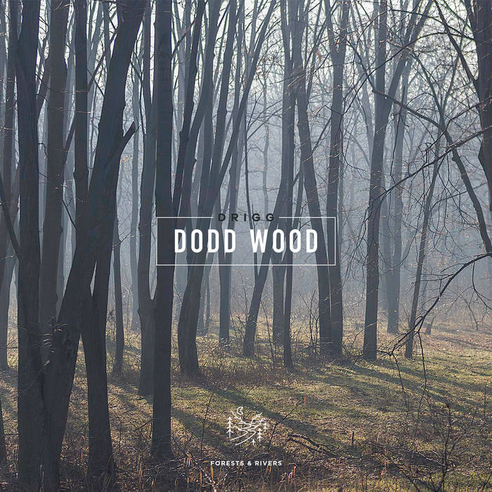 Dodd Wood | Drigg | Forests & Rivers