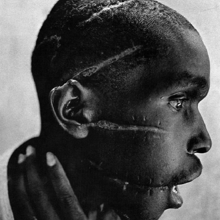 Survive | Mike Braudrick