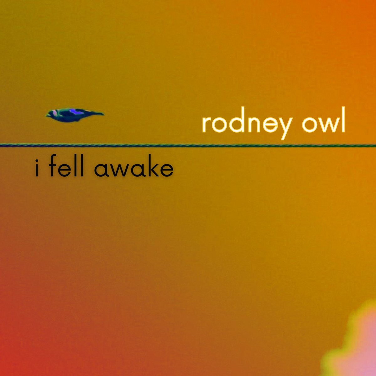 i fell awake | Rodney Owl