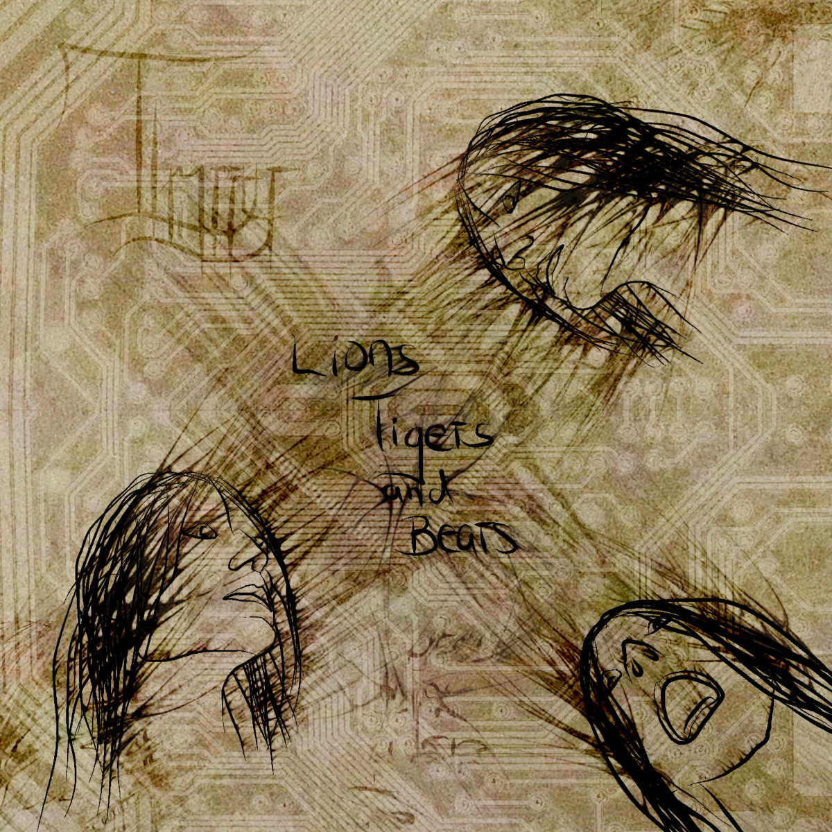 Lions Tigers and Bears | Imrryr