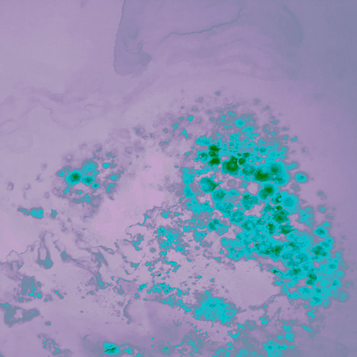 Root Cellar Rot (DEMO) | Plain Tales