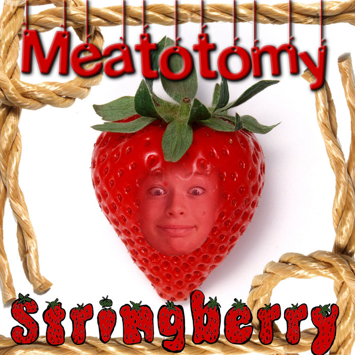 Stringberry | Meatotomy