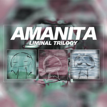 Byte Funkin' | Fletcher VHS | Turtle Pals Tapes