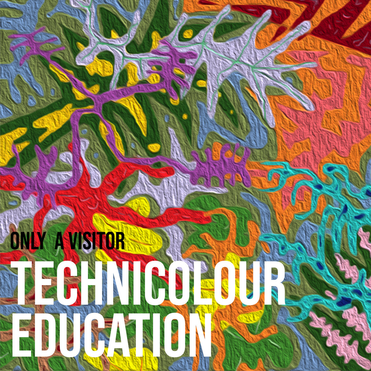 Technicolour Education | Only A Visitor