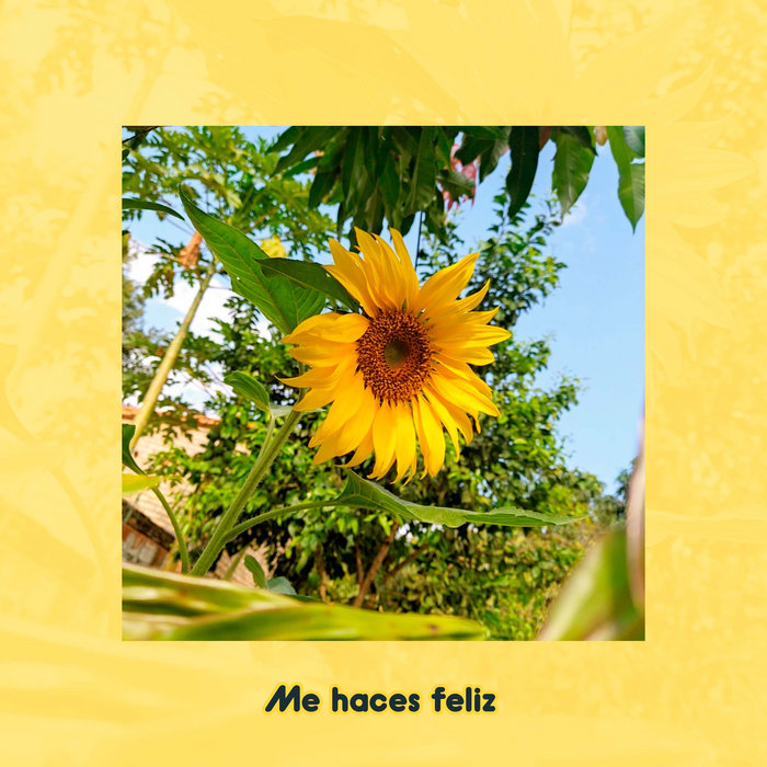 Me haces Feliz | Mitxel Code