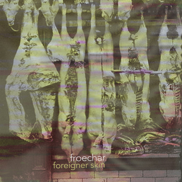Foreigner skin | Froe Char