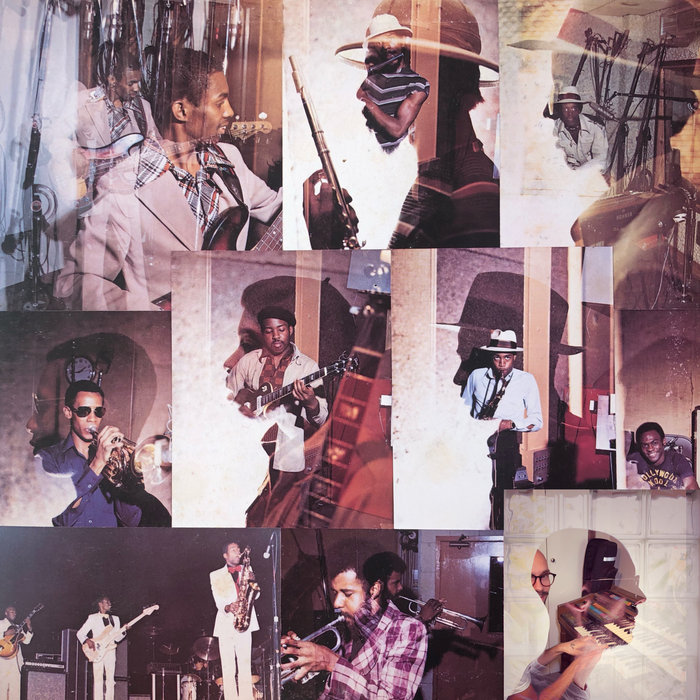 Kool and the Gangling | Neon Brown | Neon Brown | Mister Freedom