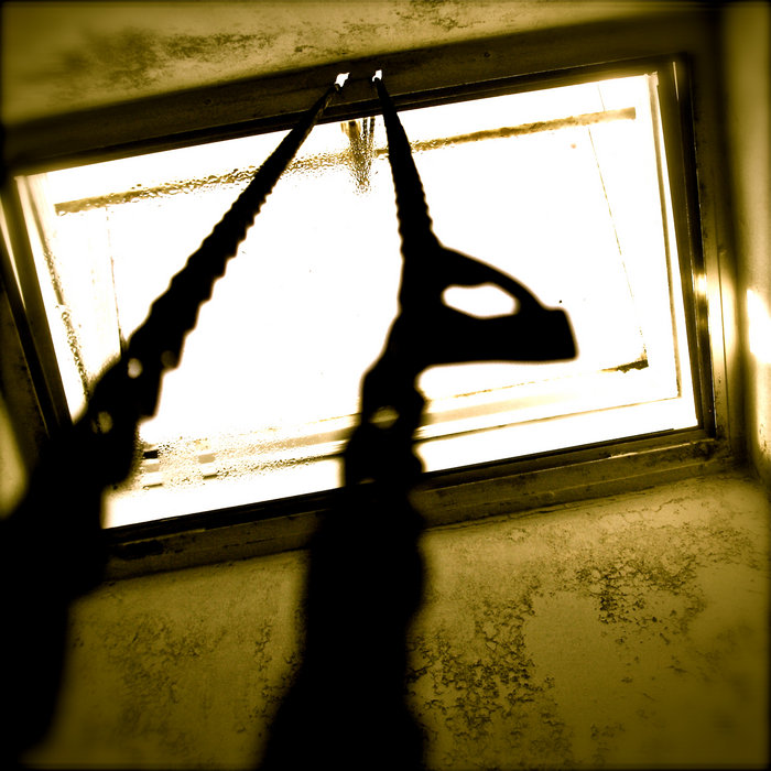 Skylight | Will Ries