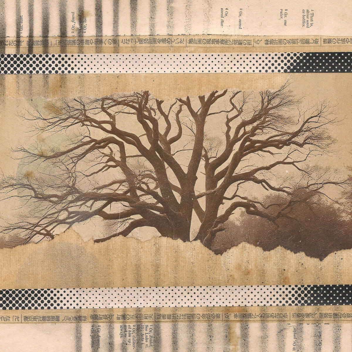 Where Once We Danced | Adrian Lane | whitelabrecs