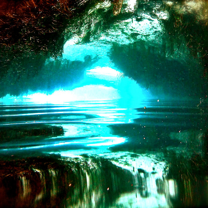 Stinger In The Water | Gamble Cosmos