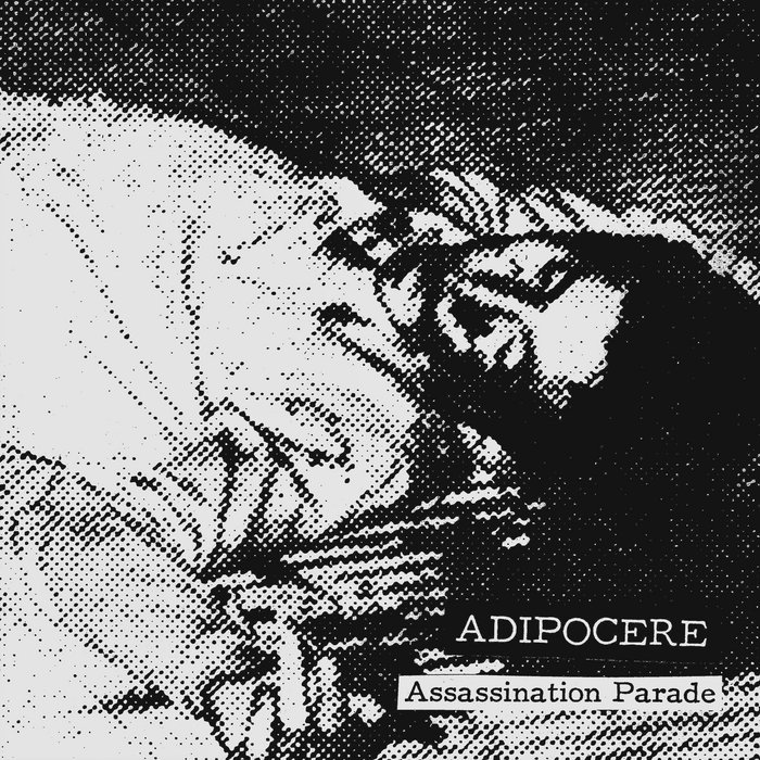 Assassination Parade | Adipocere | Needle And Knife