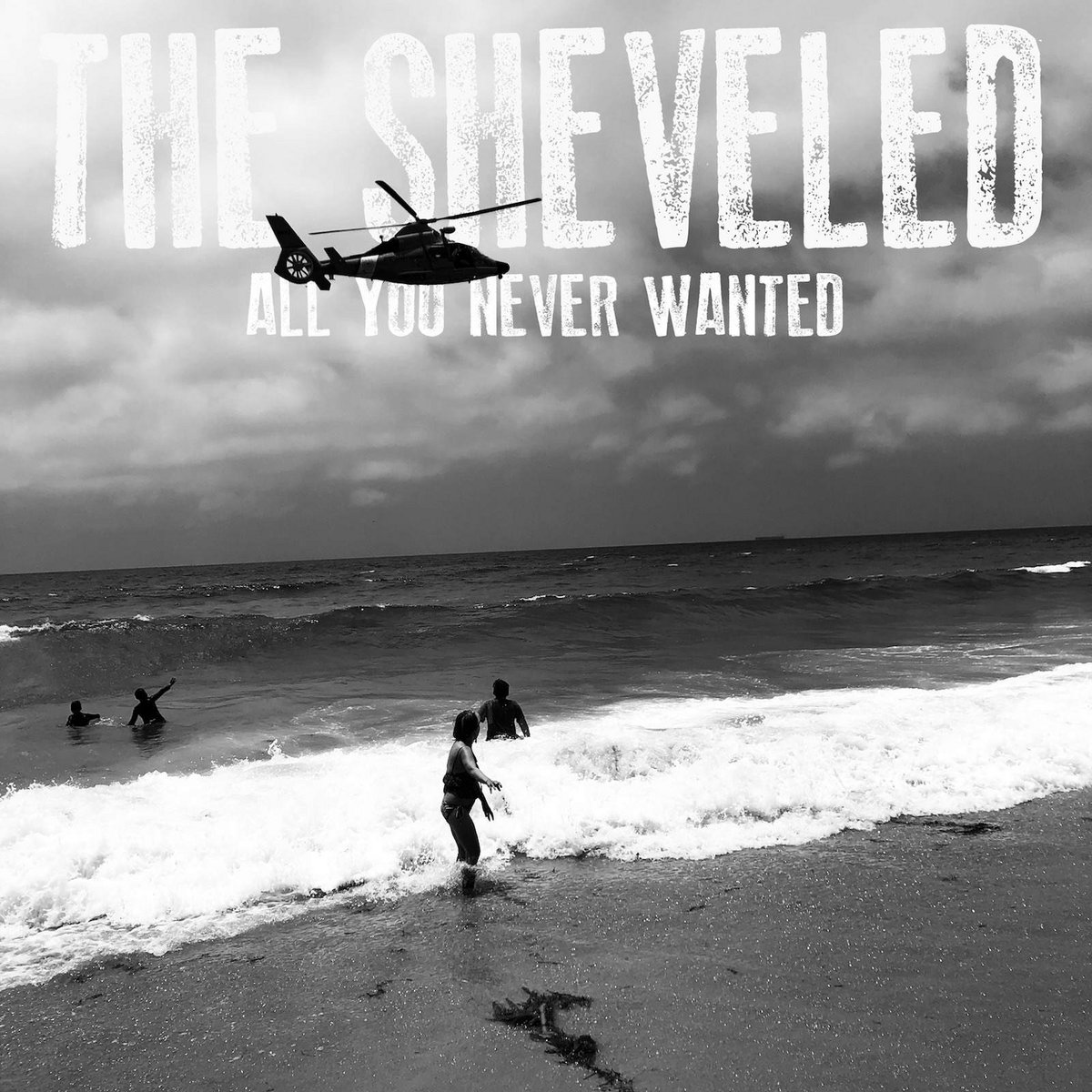 All You Never Wanted | The Sheveled