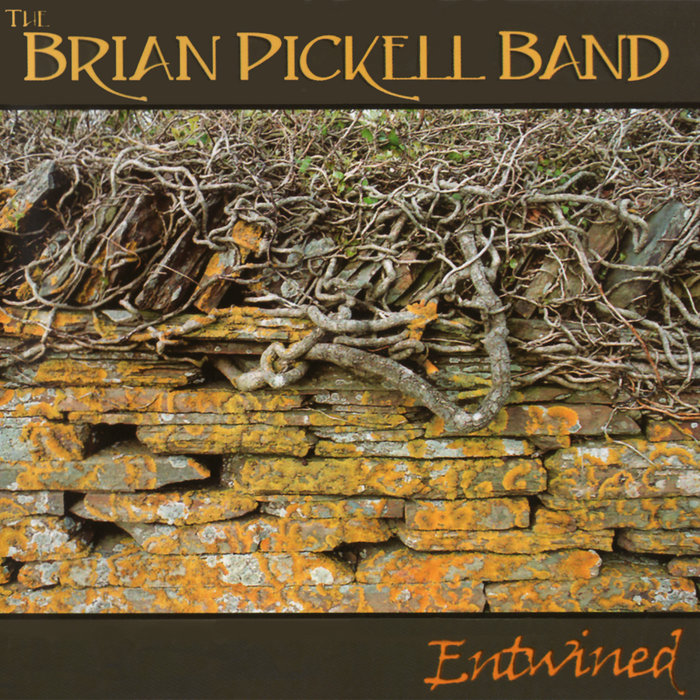 Entwined | Brian Pickell Band | Brian Pickell