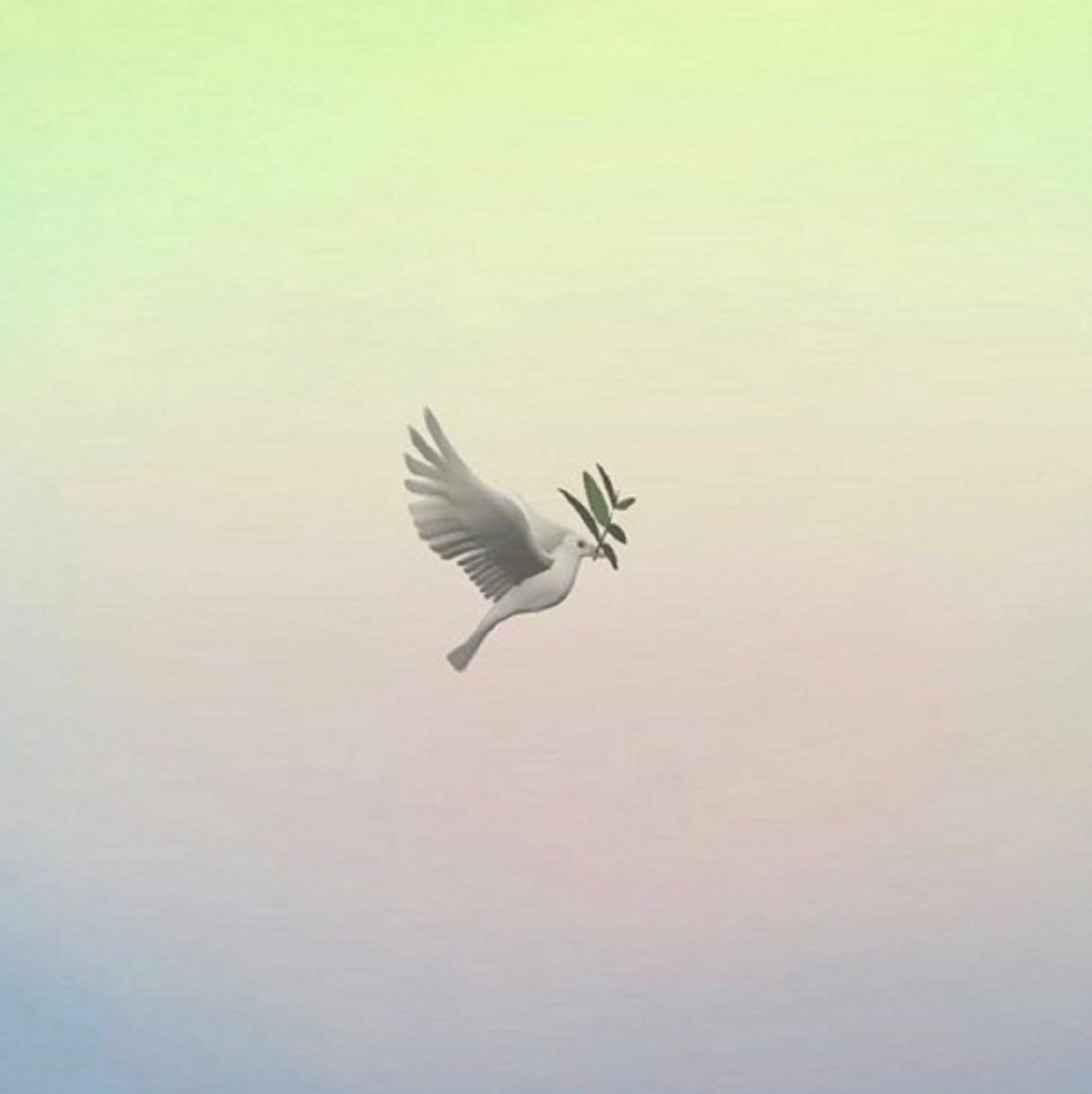 #2020VISION | NoRIP-E, The Philosopher | NoRIP-E, The Philosopher / Dec ...