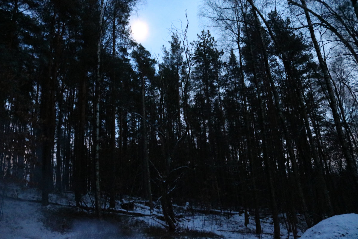 The Old Domains of a Wicked Wraith | Hersir