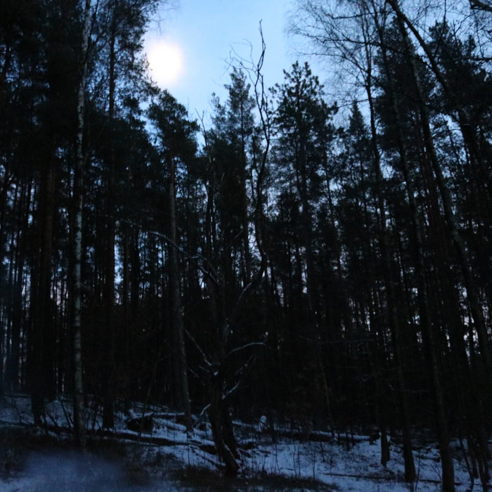 The Old Domains of a Wicked Wraith | Hersir