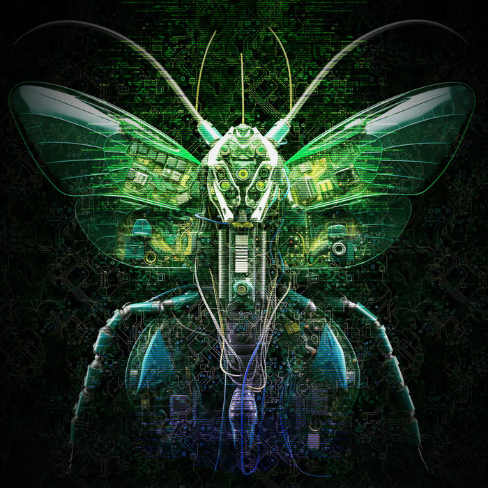 Super Organism | EarthCry