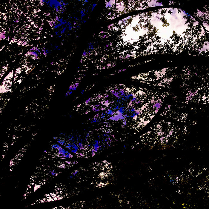 Underworld | Echo Tongues