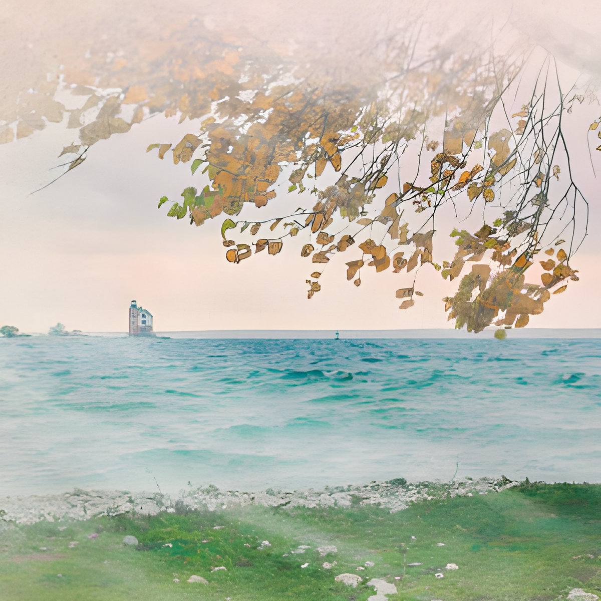 coral cove | tiyu