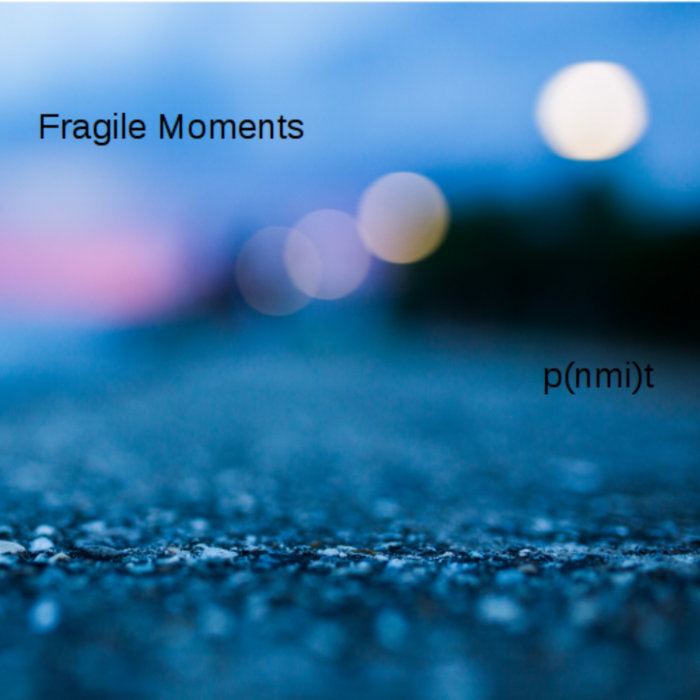 Fragile Moments (Compilation) | p(nmi)t | Bottle of Beef