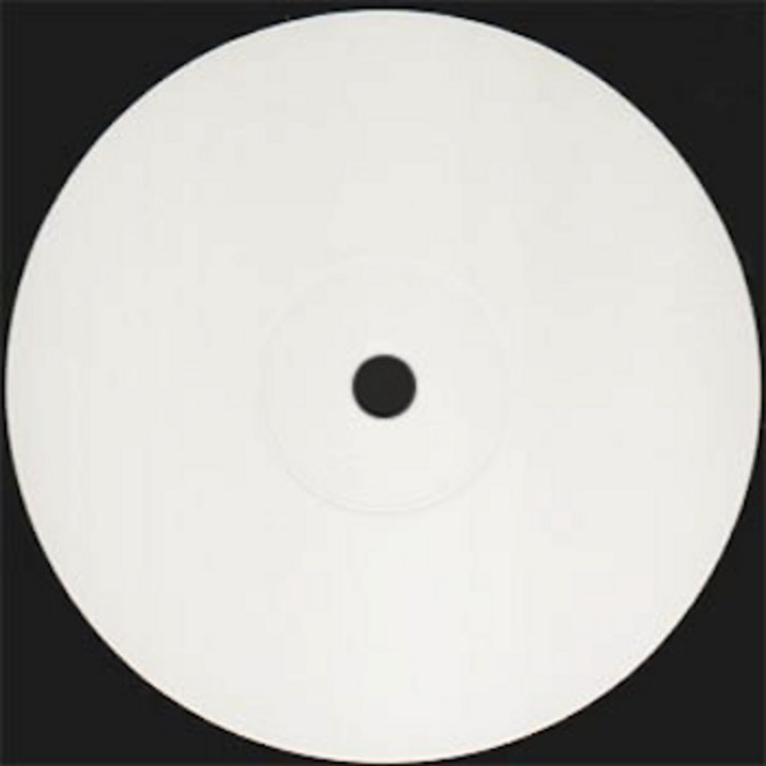 Blank Vinyl Album Cover