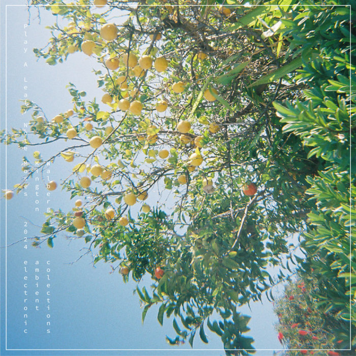 Play a Leafy Note | Moses Kington-Walberg