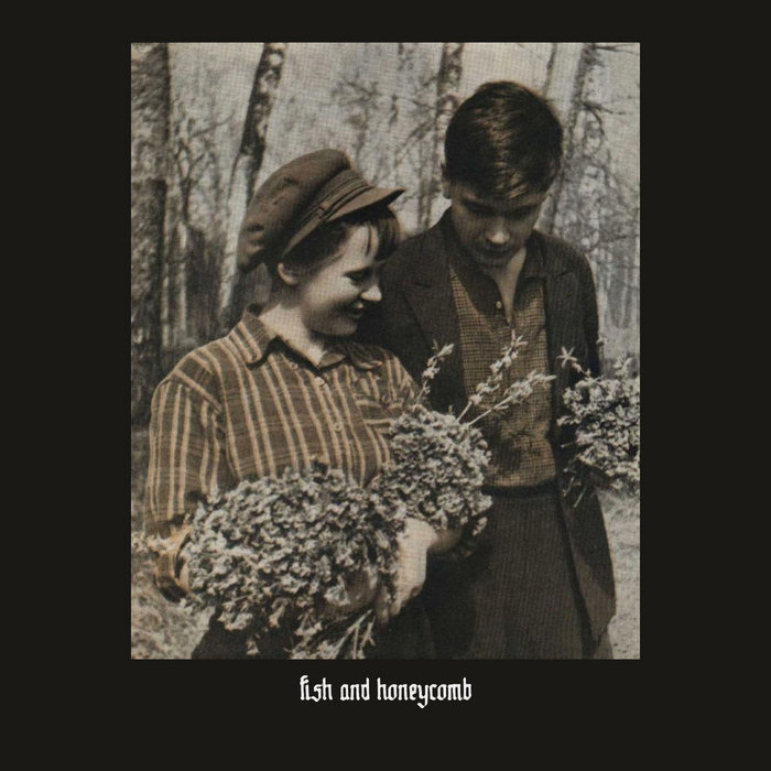 Fish and Honeycomb | Scattered Castles